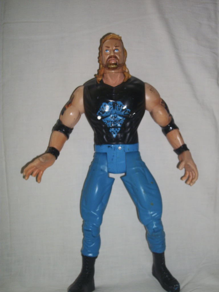 Diamond Dallas Page Action Figure – Vertual Attics